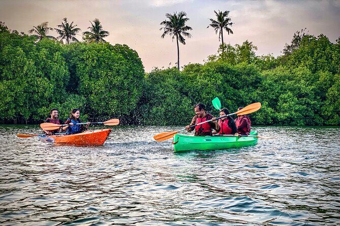 Kayaking in Mangrove Forest of Paravur Backwaters near Varkala and Kollam - The Sum Up: A Genuine, Affordable Water Adventure