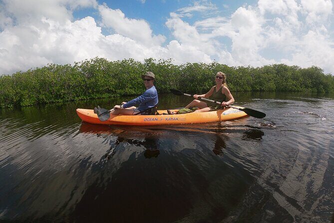Kayaking in the Mangroves Experience - Key Points