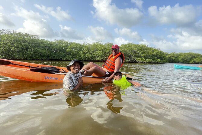 Kayaking in the Mangroves Experience - FAQs