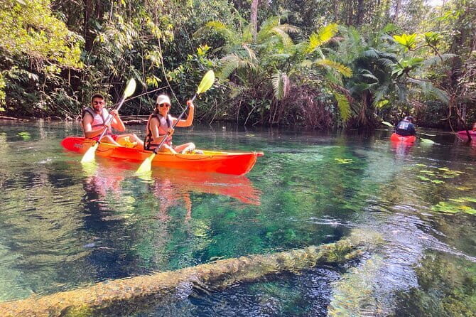 Kayaking Klongroot-Klongnamsai - The Sum Up: Is This Tour Right for You?