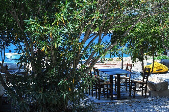 Kayaking Korula's Paradise -Half Day Guided Kayak Tour - The Equipment and Comfort