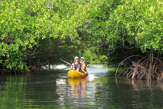 Kayaking Mangrove Adventure at Havelock - Key Points