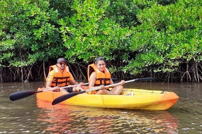 Kayaking Mangrove Adventure at Havelock - Why This Kayaking Tour Stands Out