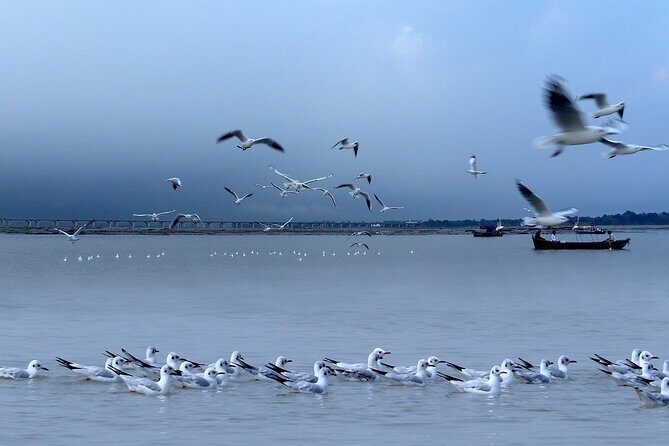 Kayaking on Spike's River - Goa - Key Points