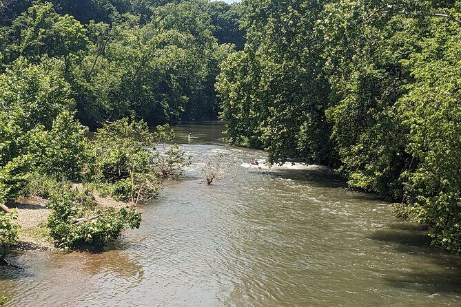 Kayaking on the Roanoke River - A Detailed Look at the River Experience