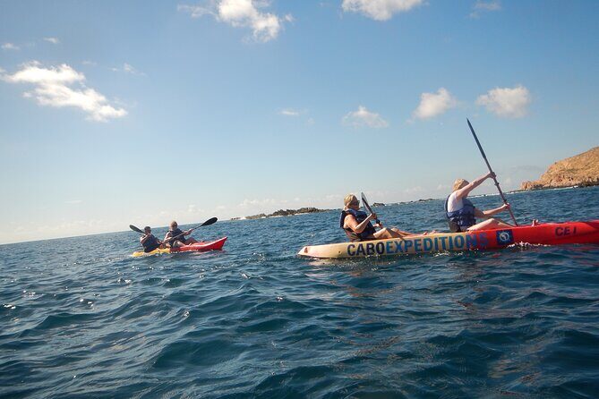 Kayaking & Snorkeling in the Spectacular Waters of Los Cabos - Snorkeling at Pelican Rock