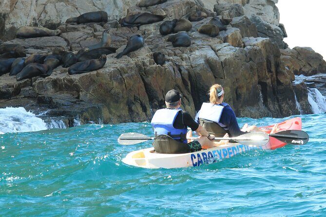 Kayaking & Snorkeling in the Spectacular Waters of Los Cabos - The Experience from Traveler Feedback