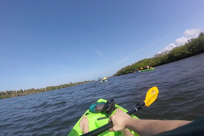 Kayaking the Canals of Venice, FL - A Closer Look at the Experience