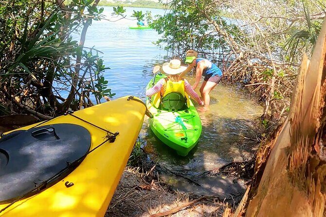 Kayaking the Canals of Venice, FL - Practical Details and Tips