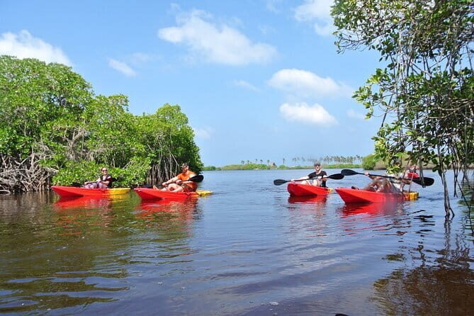 Kayaking Through the Kalpitiya Mangroves - Key Points
