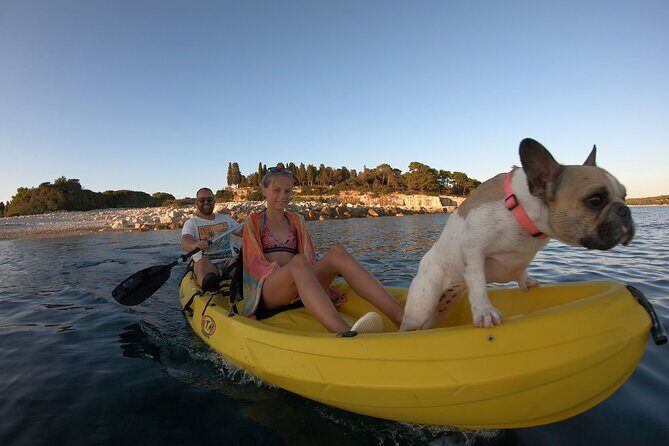 Kayaking to Island Saint Jerolim with snorkeling activitie - Key Points