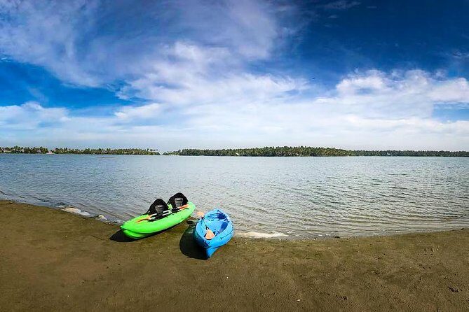 Kayaking to the Black Devil Snail Sandbar Island in Paravur Lake near Varkala - The Sum Up: A Quiet, Affordable Nature Escape