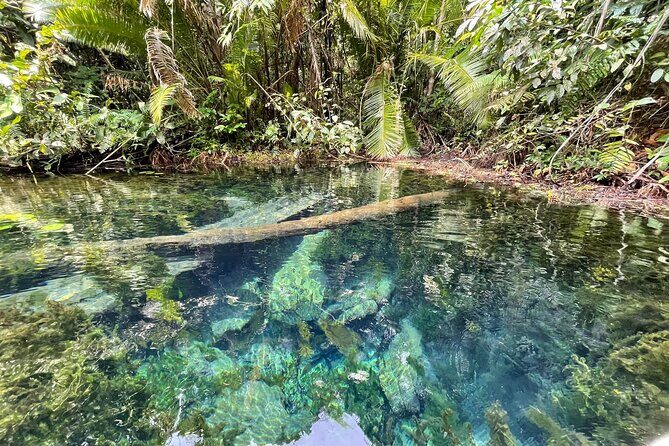 Kayaking Tour at Klong Root (Crystal Lake), Krabi - Who Will Love This Tour?