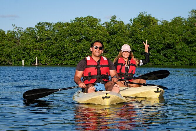 Kayaking Tour in Cancun - The Itinerary in Detail