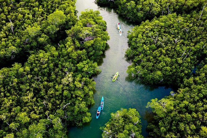 Kayaking Tour in Cancun - Final Thoughts