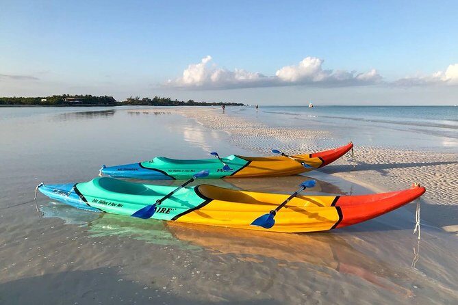 Kayaking Tour Through the Mangroves in Isla Holbox - An Honest Breakdown of the Experience