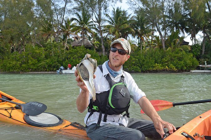 Kayaking with coastal wildlife in Sarasota Bay - FAQs