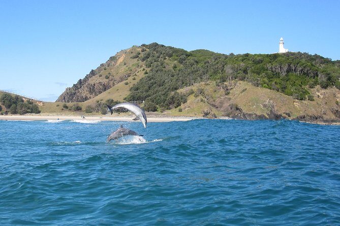 Kayaking with Dolphins in Byron Bay Guided Tour - An In-Depth Look at the Byron Bay Dolphin Kayaking Tour