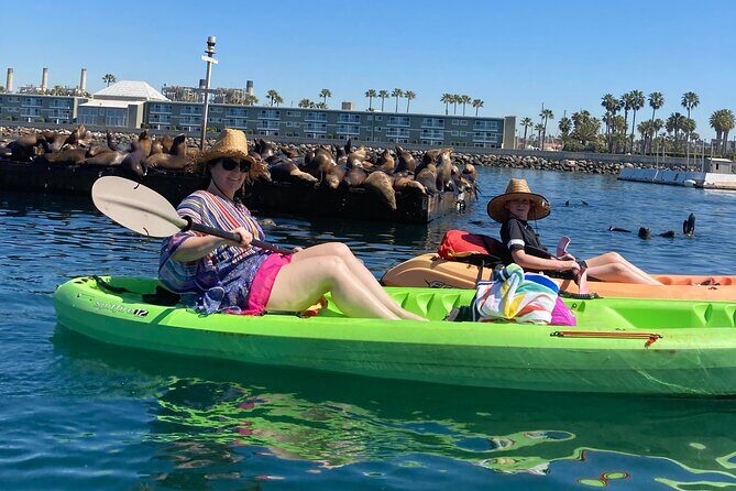 Kayaking with Sea Lions in a Calm Beautiful Harbor - The Sum Up