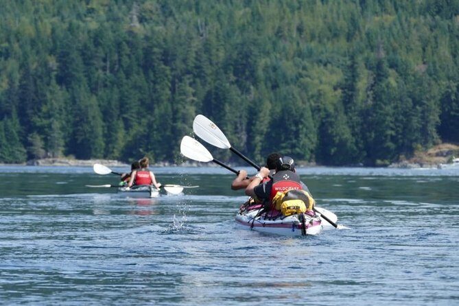 Kayaking with Whales and Wildlife - A Closer Look at the Itinerary