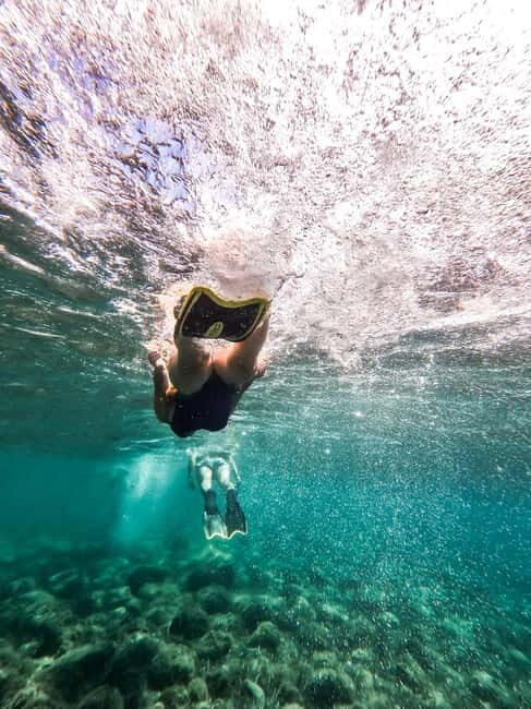 Kayak&Snorkel Tour - The Secret of the Posidonia - Key Points