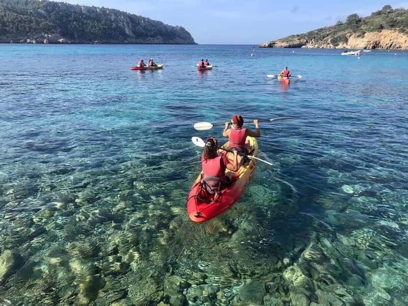 Kayak&Snorkel Tour - The Secret of the Posidonia - Discovering the Experience
