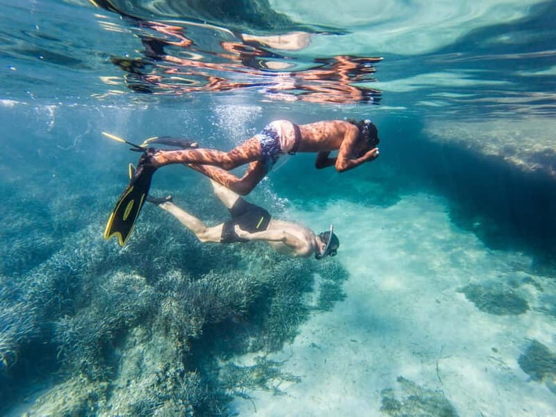 Kayak&Snorkel Tour - The Secret of the Posidonia - Practical Aspects and Value