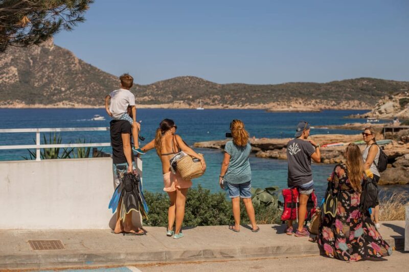 Kayak&Snorkel Tour - The Secret of the Posidonia - The Sum Up