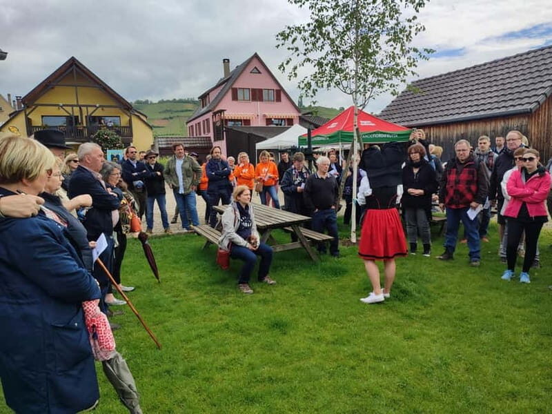 Kaysersberg Vineyard Discovery of the vineyard and wine, Domaine Meyer-Krumb - Key Points