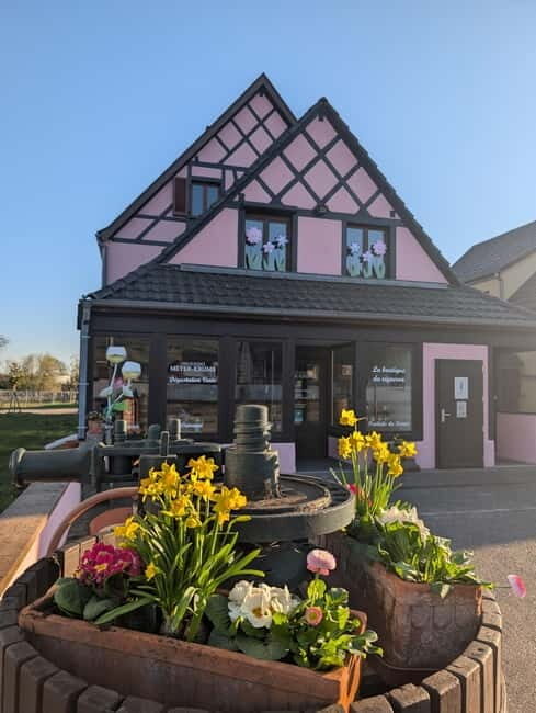 Kaysersberg Vineyard Discovery of the vineyard and wine, Domaine Meyer-Krumb - Who Would Enjoy This Tour?