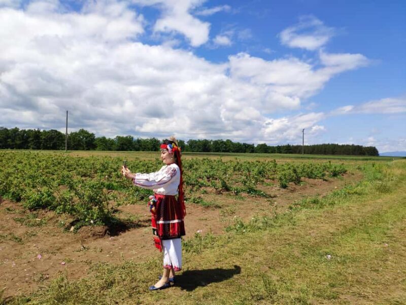 Kazanlak: Rose Festival 2025 VIP Access - Exploring the Rose Picking Tradition