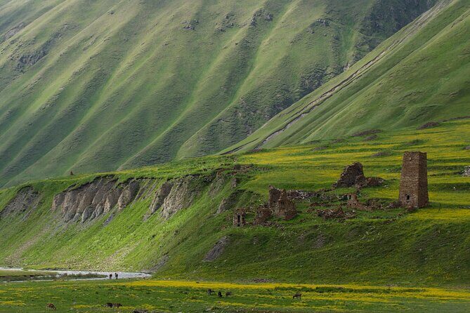 Kazbegi - One Day Private Trekking Tour to Truso Valley - What Travelers Say
