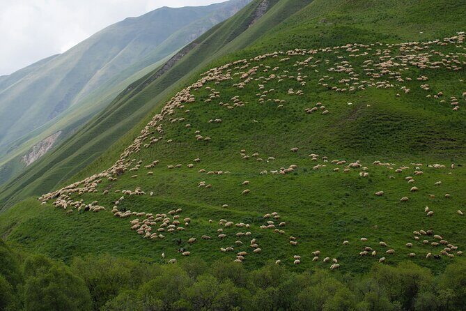 Kazbegi - One Day Private Trekking Tour to Truso Valley - The Value Proposition