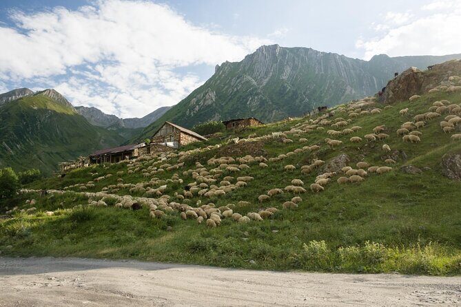 Kazbegi - One Day Private Trekking Tour to Truso Valley - Final Word