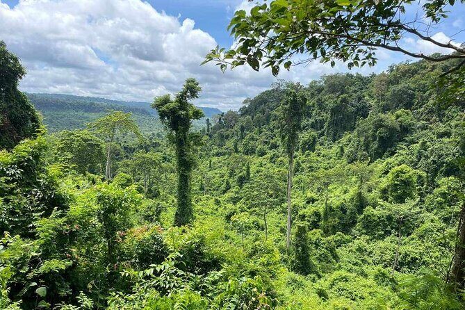 Kbal Spean Lingar River, Banteay Srei Temple & Pre Rup Tour - The Mystical Kbal Spean and Jungle Walk