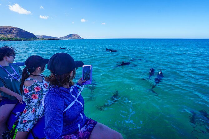 Kealakekua Bay Snorkel & Dolphin Watch In Kona - Value for Money