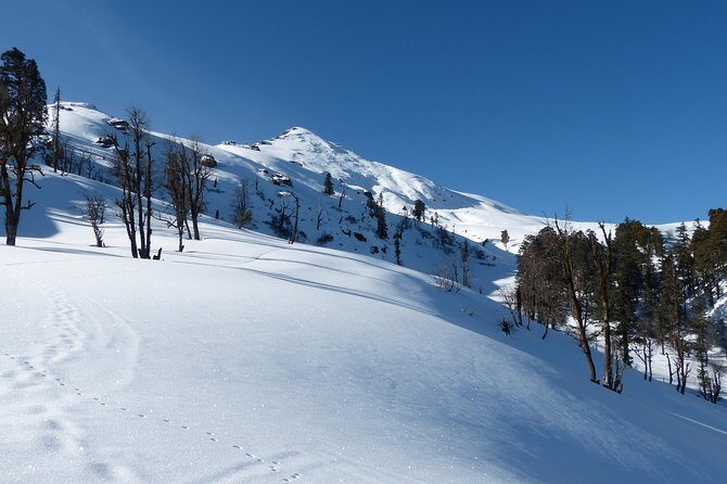 Kedarkantha Trek - In-Depth Breakdown of the Itinerary