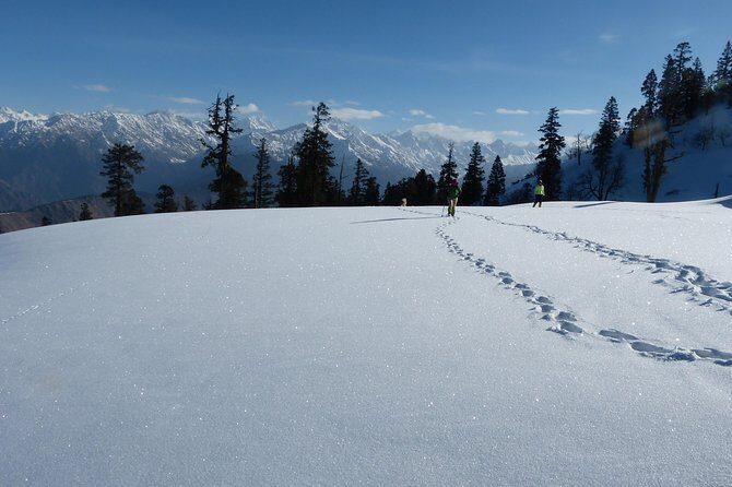 Kedarkantha Trek - Final Thoughts – Who Should Consider This Trek?