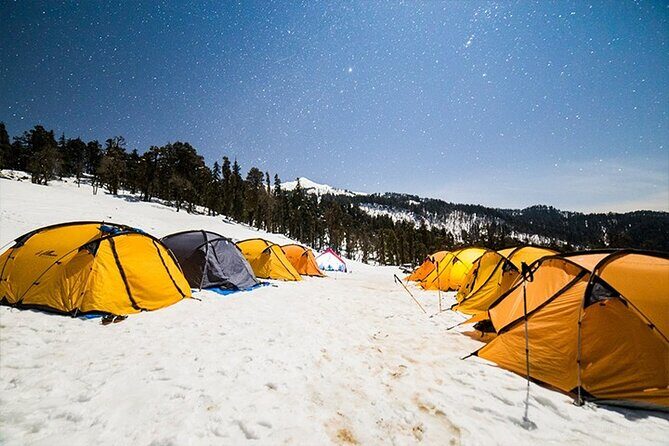 Kedarkantha Trek - Authentic Reviews and What Travelers Say