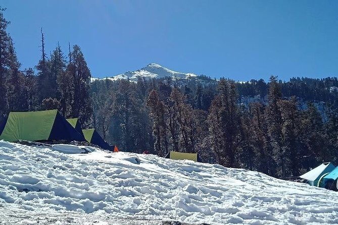 Kedarkantha Trek (Dehradun to Dehradun) - Authenticity and Reviews: Real Experiences