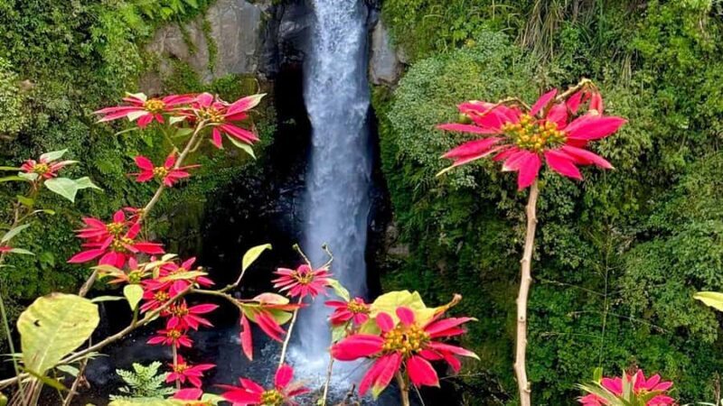 Kedung Kayang Waterfall and Merapi Jeep Lava Tour - An In-Depth Look at the Kedung Kayang Waterfall and Merapi Jeep Lava Tour