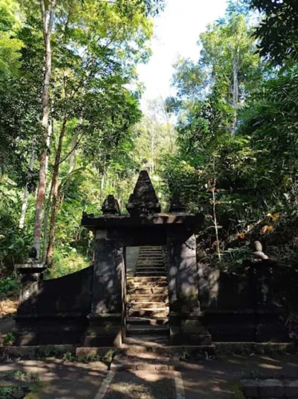 Kedung Kayang Waterfall & Selogriyo with Trek 1km Ricefield - Who Will Love This Tour?