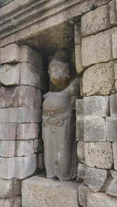 Kedung Kayang Waterfall & Selogriyo with Trek 1km Ricefield - The Sum Up