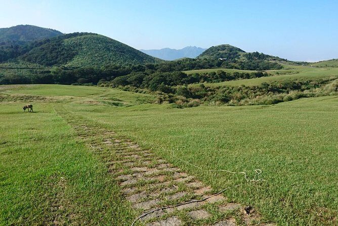 Keelung Shore Excursion: Yangmingshan Hot Spring and Wild Vegetable Cuisine Tour - Authentic Reviews and Insights