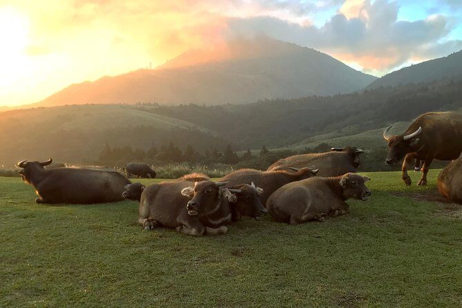 Keelung Shore Excursion: Yangmingshan Hot Spring and Wild Vegetable Cuisine Tour - The Sum Up
