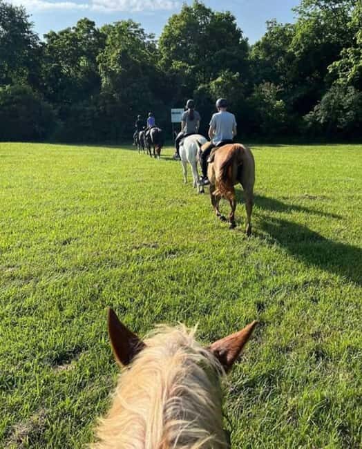 Keeneland: Horseback Riding Experience with Guide - Why the Value Adds Up