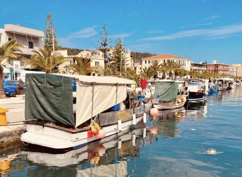 Kefallonia: Full-Day Private Sightseeing Tour - The Finer Details of the Kefallonia Private Tour