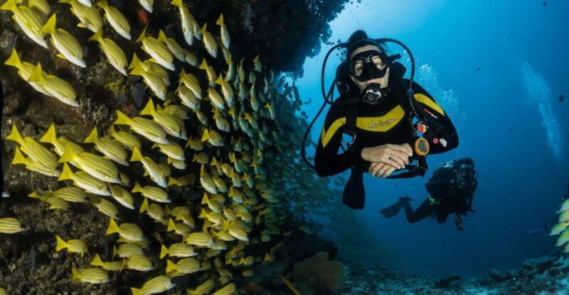Kefalonia: Beginner Scuba Diving at Agia Efimia Village - Key Points