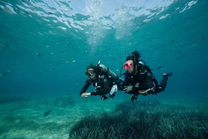 Kefalonia: Beginner Scuba Diving at Agia Efimia Village - A Deep Look at the Experience