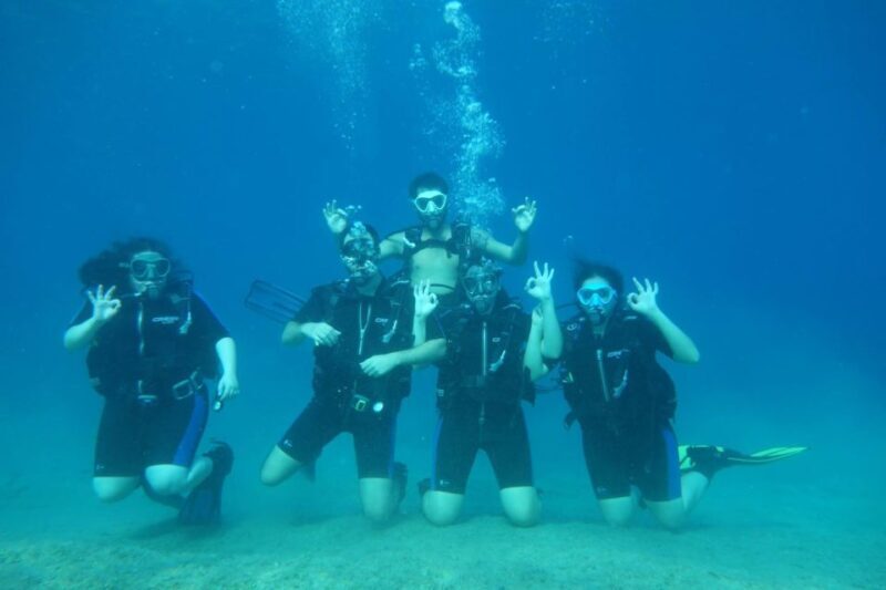 Kefalonia: Beginner Scuba Diving at Agia Efimia Village - The Practical Details: Timing, Group Size, and Requirements